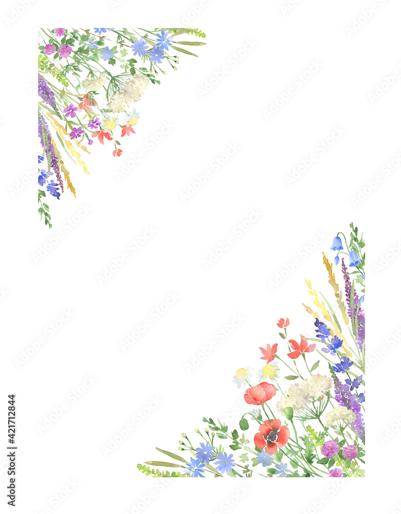 Watercolor frame border with wildflowers Stock Illustration | Adobe Stock
