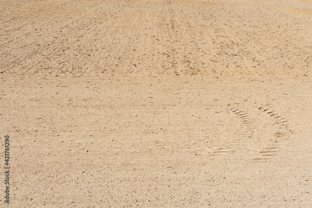 empty clean agriculture field, background and texture for design, copy ...