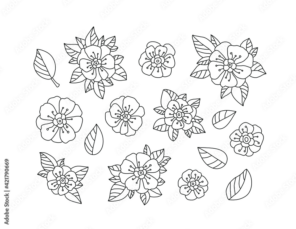 Wild rose flowers isolated. Set collection, bundle. Vector artwork ...