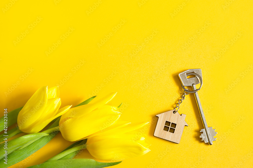 Key ring in the shape of wooden house with key on yellow background and ...