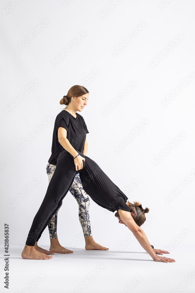 Downward Facing Dog Pose (Adho Mukha Svanasana). Yoga teacher ...