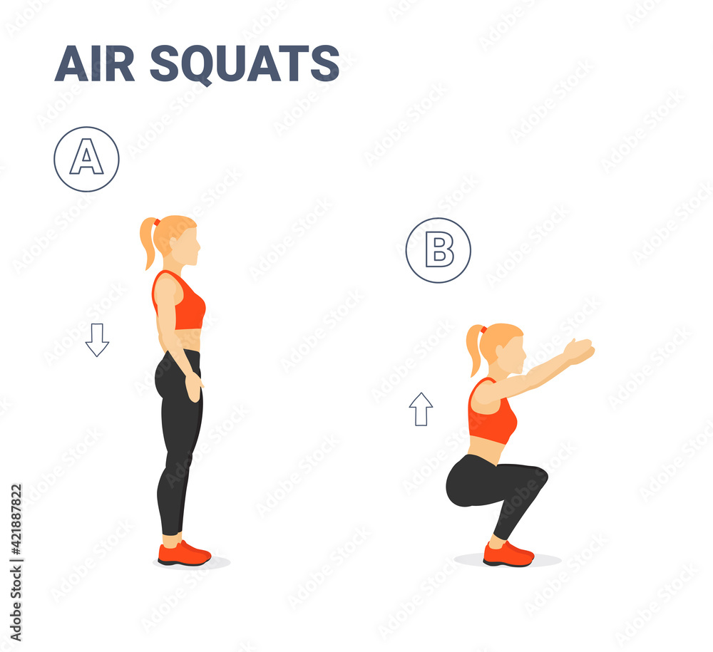 Girl doing Air Squats Exercise Home Workout Guidance. Stock Vector ...