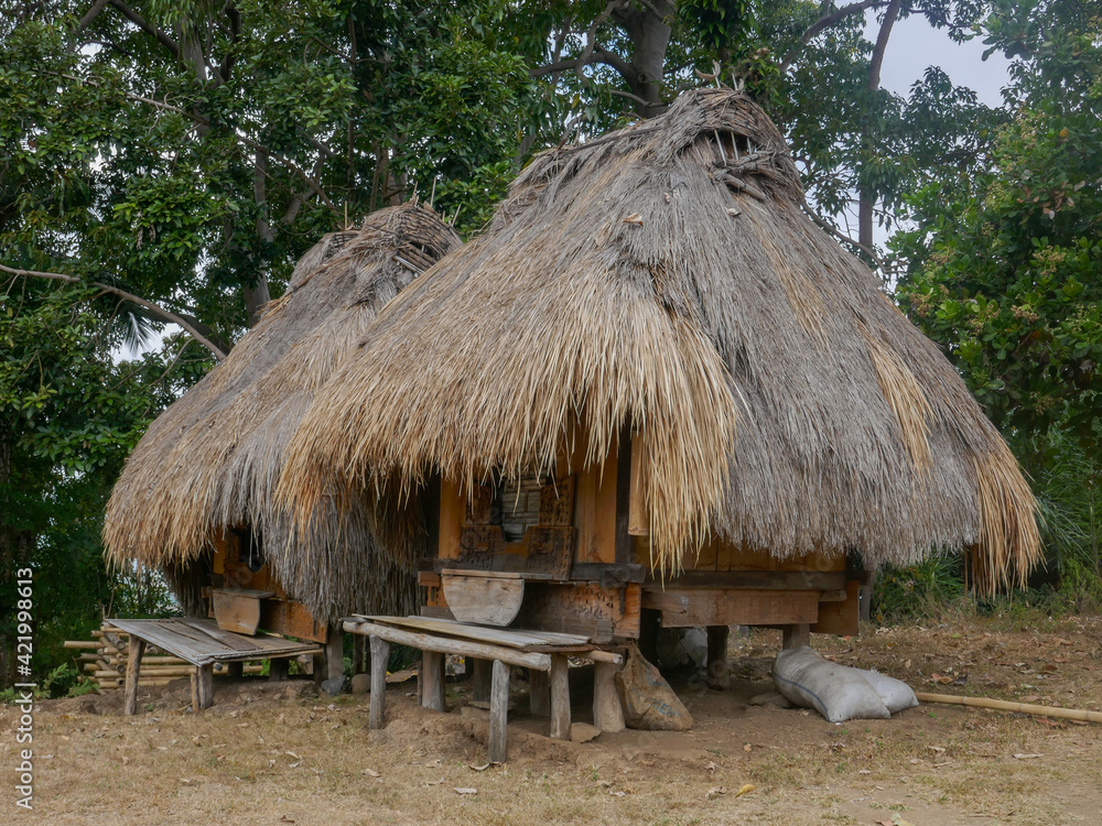 Traditional bhaga huts, a female ancestor symbol of the Ngada people or ...