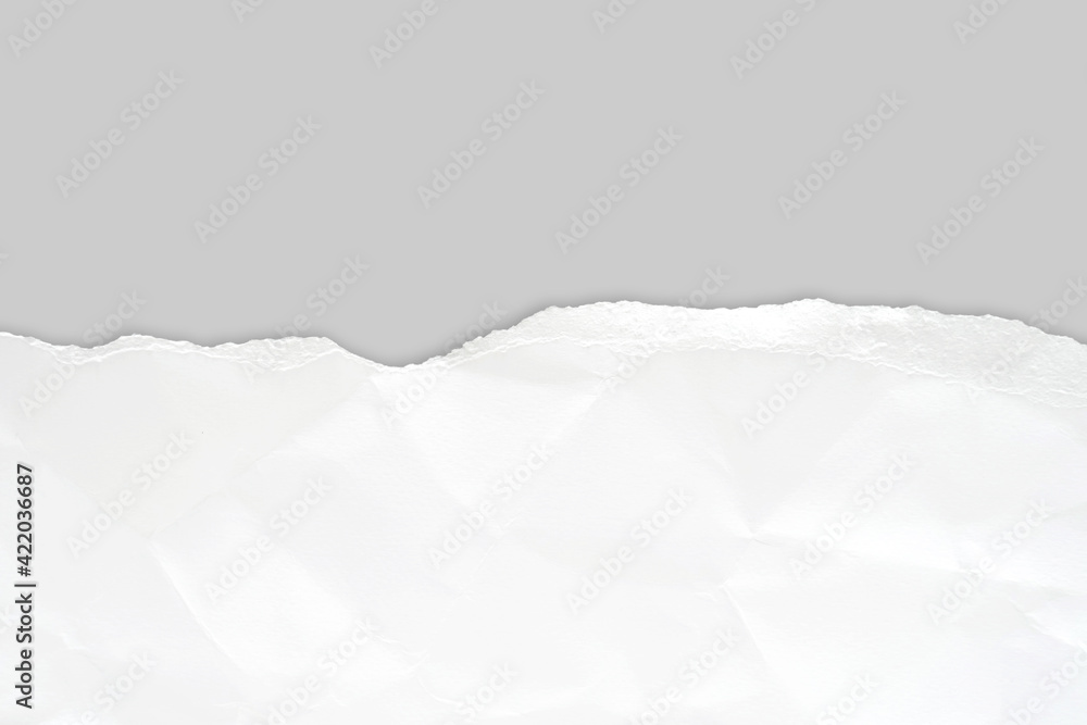 White ripped note,Torn paper edges for background. Ripped paper texture ...