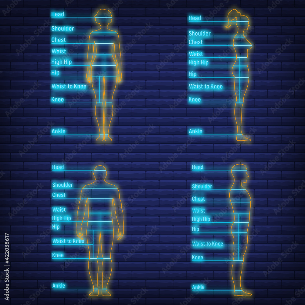 Female, male neon glow size chart anatomy human, people dummy front ...