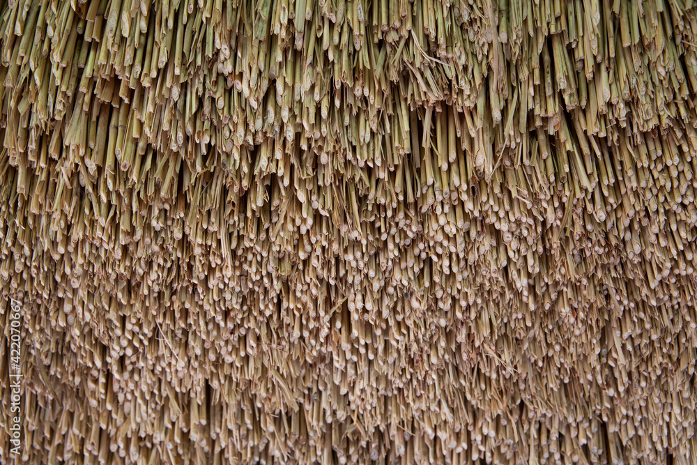 Brown dry grass lines pattern for nature leaves grass roof or wall ...