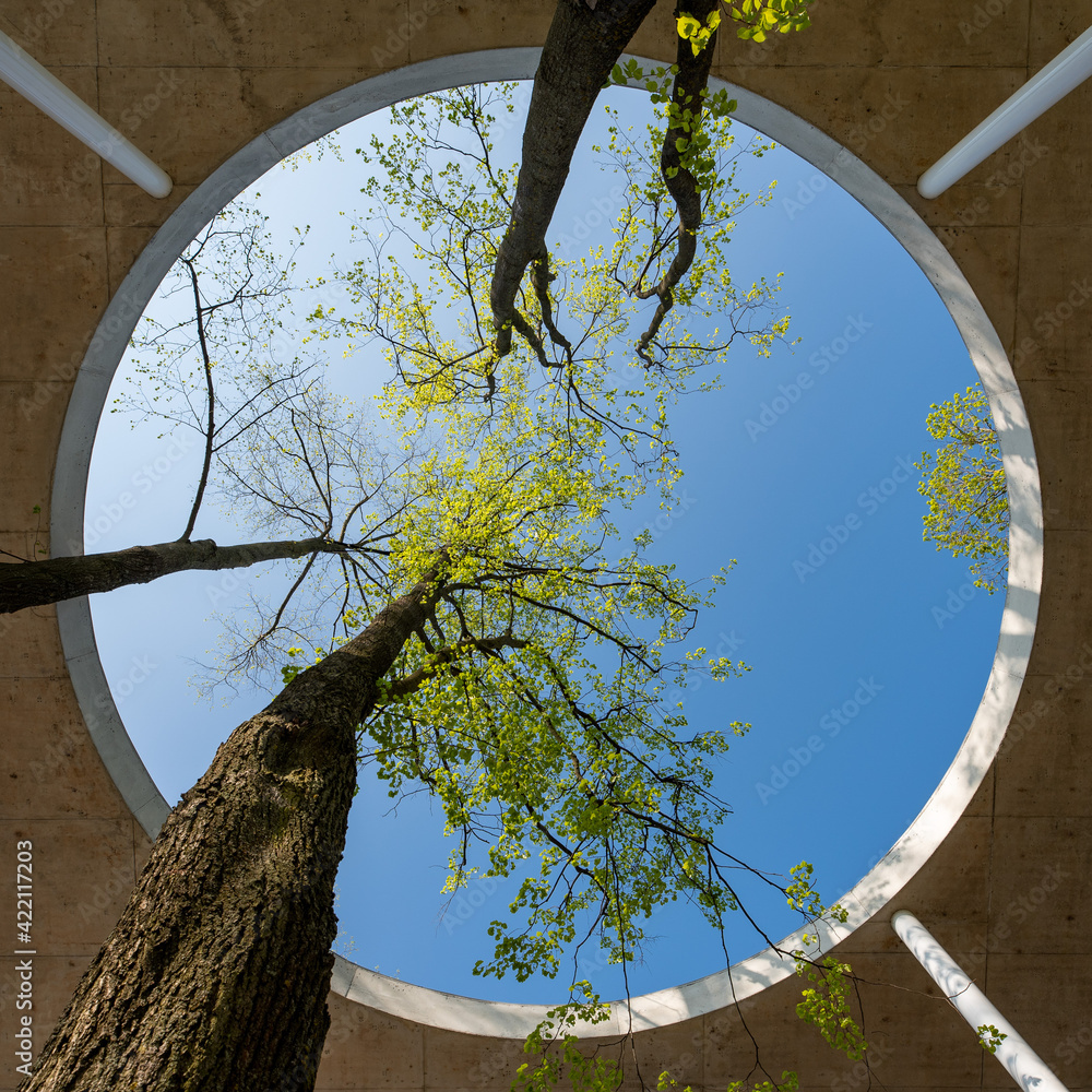 Perfect example of nature integration in architecture. Stock Photo ...