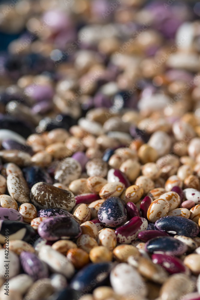 Shelled ripe seeds of kidney bean on heap. Pile of dry raw seeds of ...