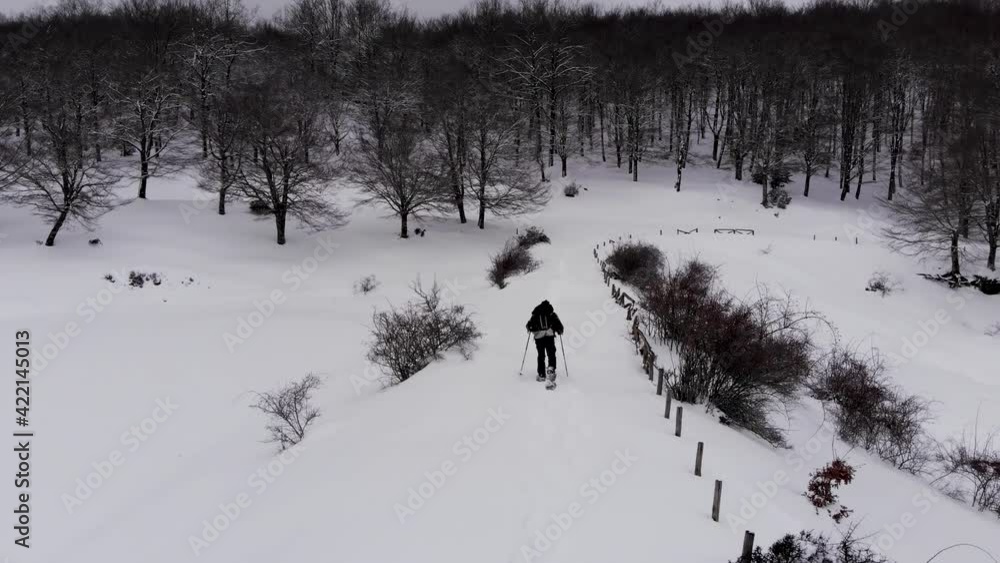 Aerial shot of the beech forest of Monte Soro on the Nebrodi Mountains ...