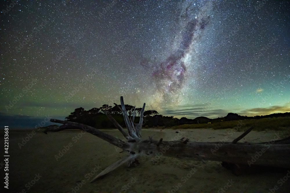 Pakiri Beach New Zealand Beach Landscapes Stock Photo | Adobe Stock