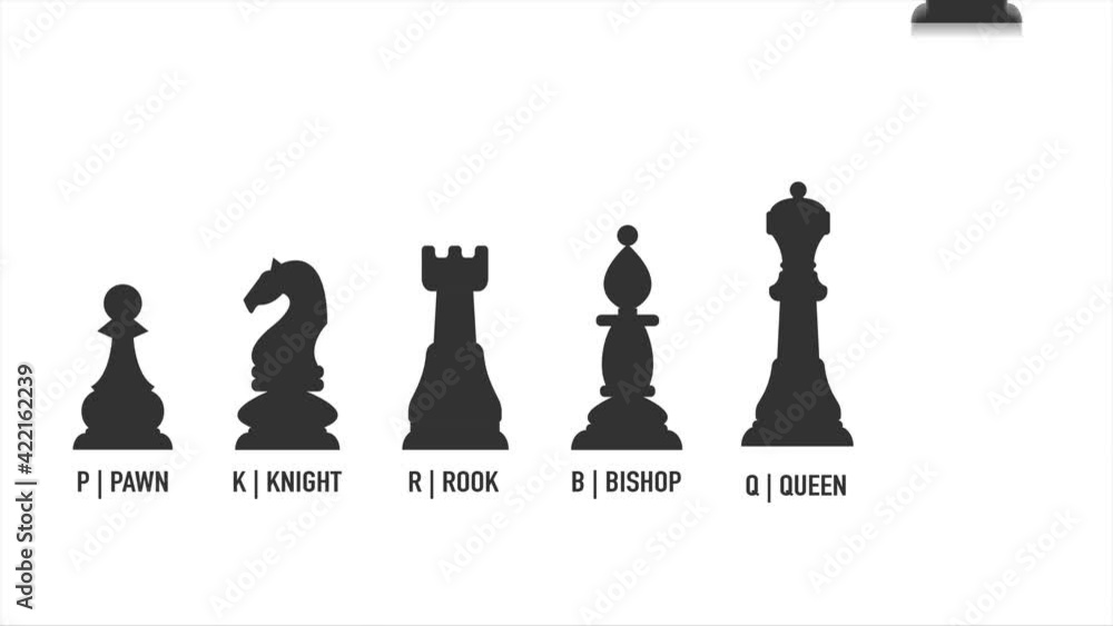 Chess pieces with titles black and white kings and queens on white ...