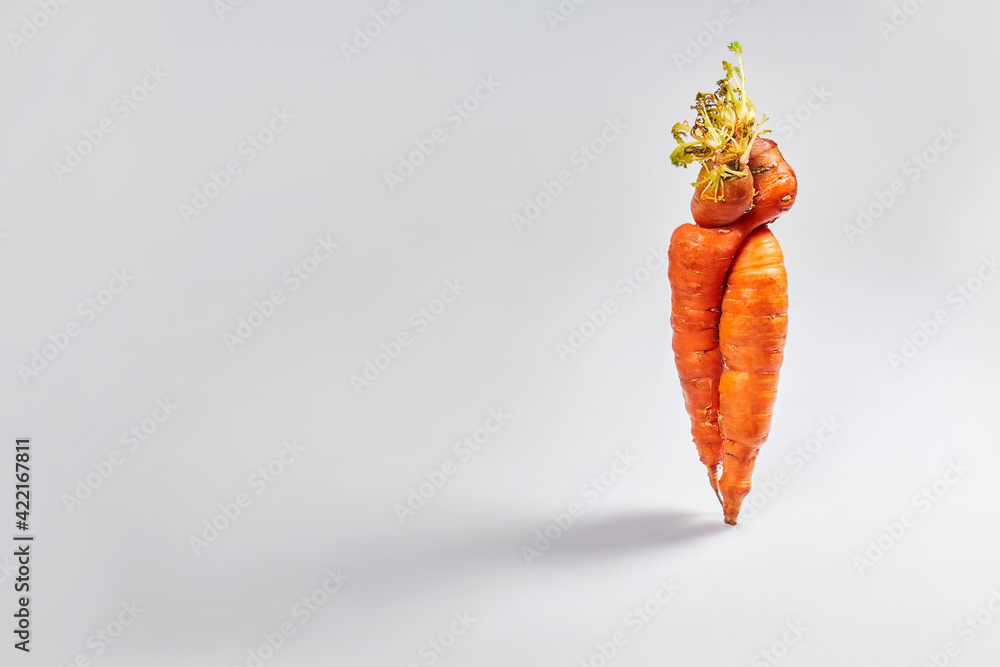 Cute hugging carrots on a white background with copy space. Symbolizing ...