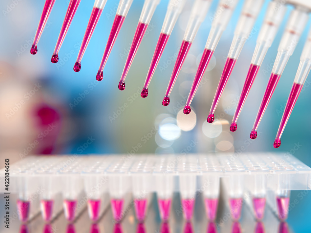 Setting up PCR reaction in the lab Stock Photo | Adobe Stock