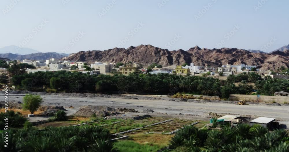 Palm tree plantation in front of arid hills in Fanja, Oman, wide shot ...