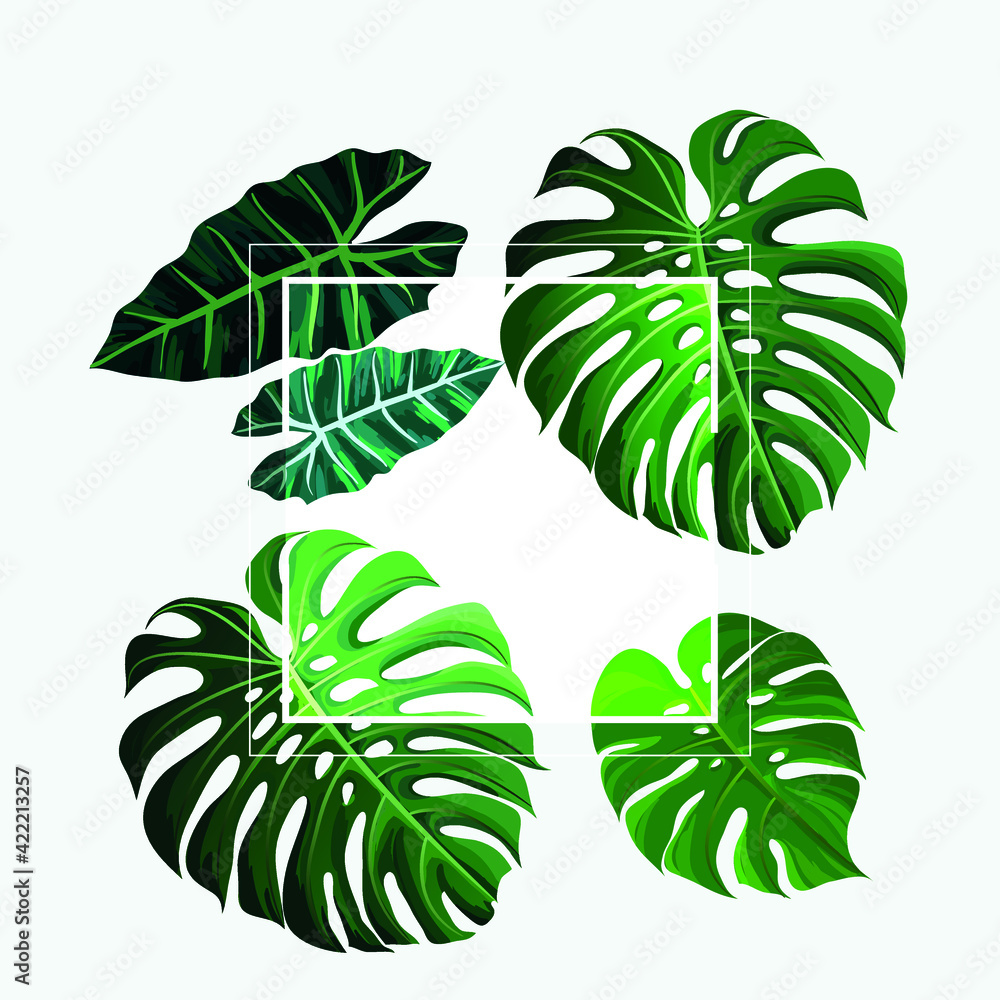 tropical green leaves taro frame with white background - vector frame ...