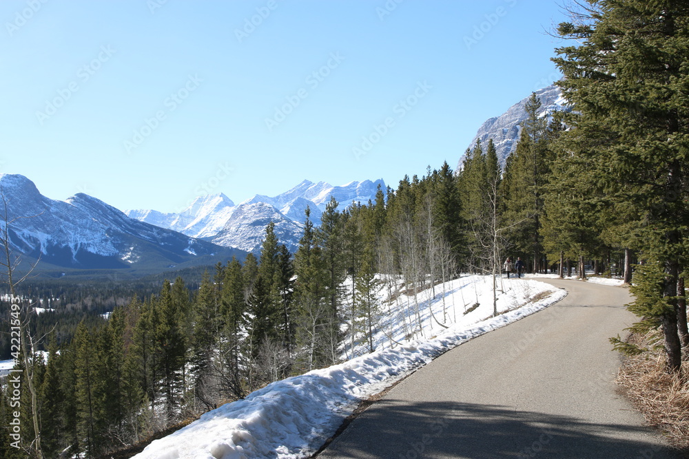 Scenic mountain path with forest and valleys on the side mountain ...