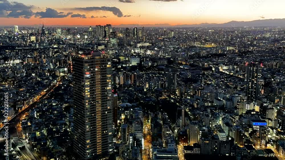 TOKYO, JAPAN : Aerial sunrise CITYSCAPE of TOKYO. View of dawn sky and ...