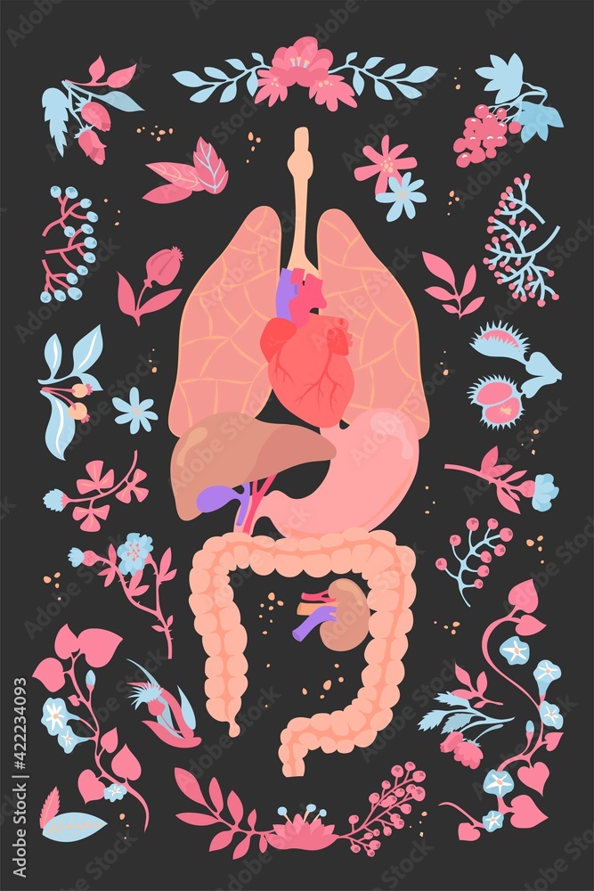 Isolated Internal organs and botanical design in vector illustration ...
