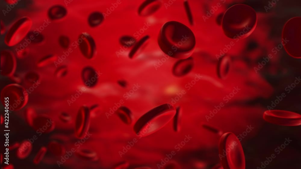 Realistic animation. red blood cells in an artery, flow inside body ...