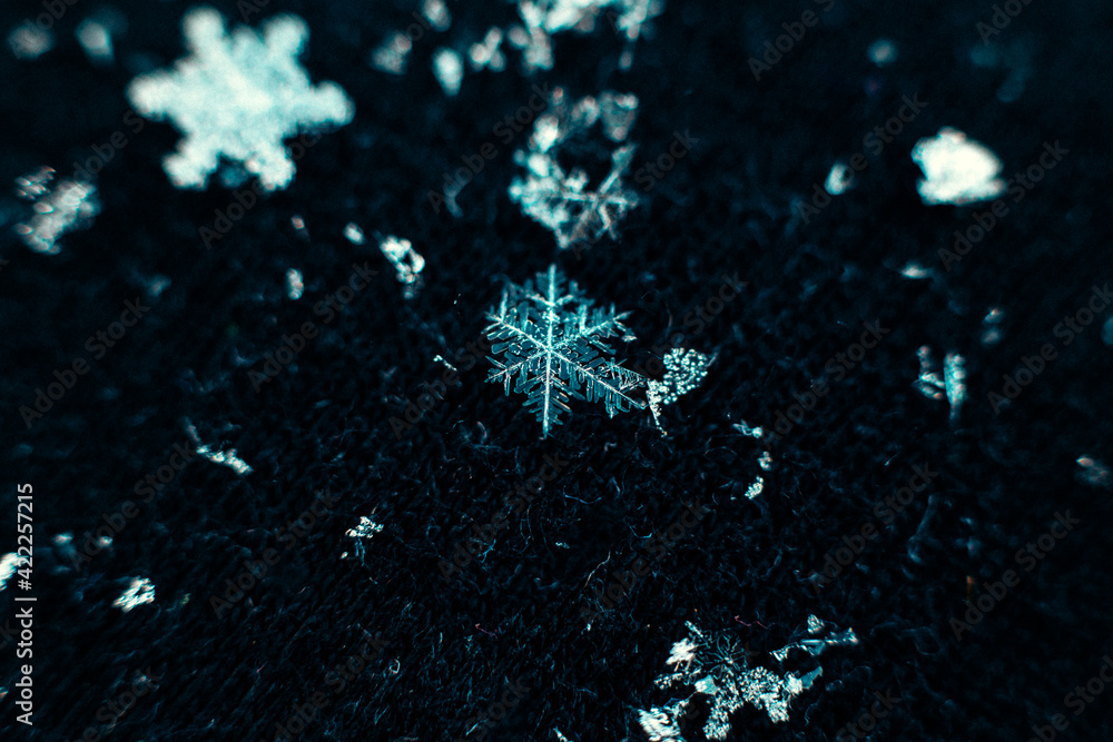 Beautiful snowflake on a black background. Natural beauty. Stock Photo ...