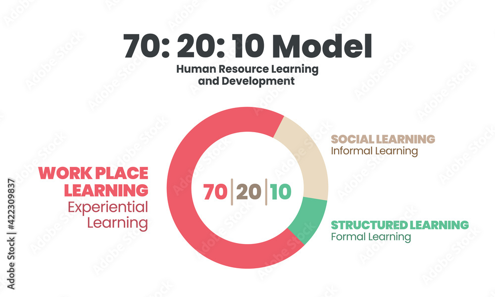 HR learning and development donut chart vector diagram is illustrated ...