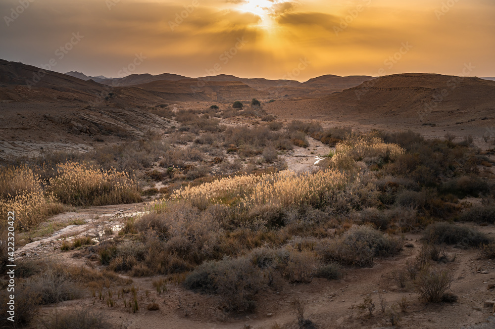 Foto de Beautiful landscape of the Ein Saharonim valley, the deepest ...