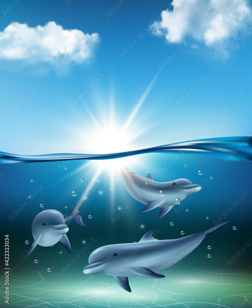 Underwater dolphin. Ocean kind swimming big fishes dolphins playing sea ... Underwater dolphin. Ocean kind swimming big fishes dolphins playing sea ...