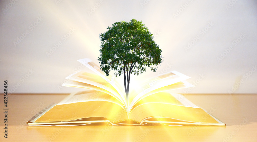 The concept of education by planting a tree of knowledge in open book ...
