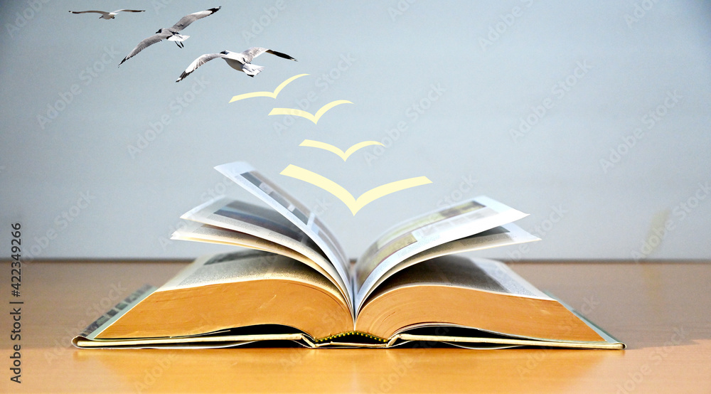 Open book with Bird flying from it, Paper Pages Change to birds fly ...