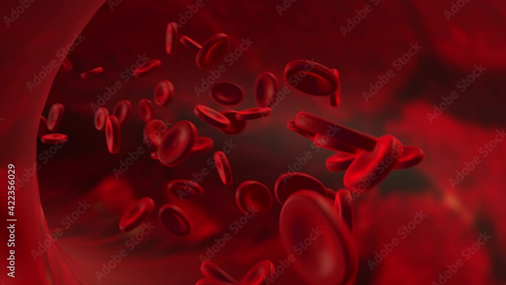 Stockvideon Realistic animation. red blood cells in an artery, flow ...