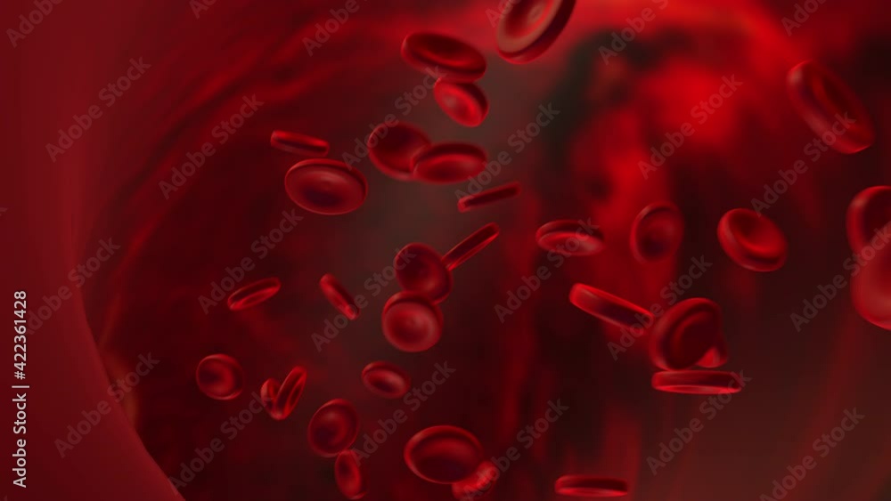 Realistic animation. red blood cells in an artery, flow inside body ...