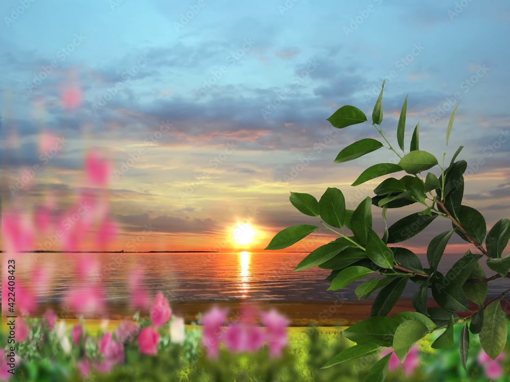 gold sunset wild flowers on field sea water reflection cloudy fluffy ...