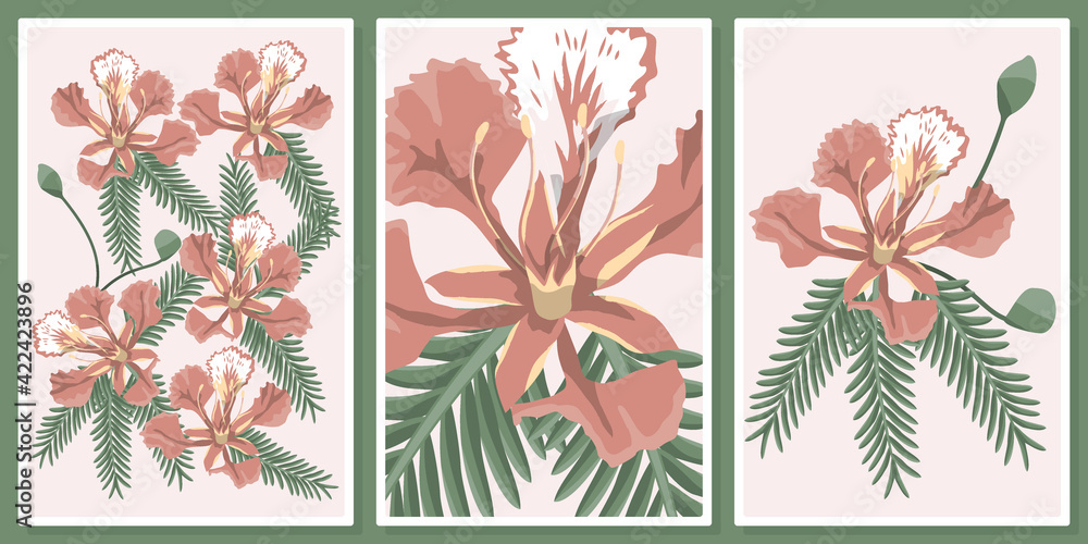 Delonix flowers. Wall art natural colors. Stock Vector | Adobe Stock