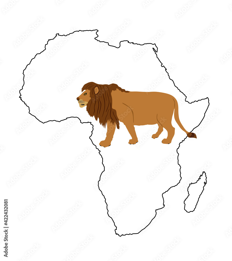 Continent Africa map contour silhouette with lion vector illustration ...