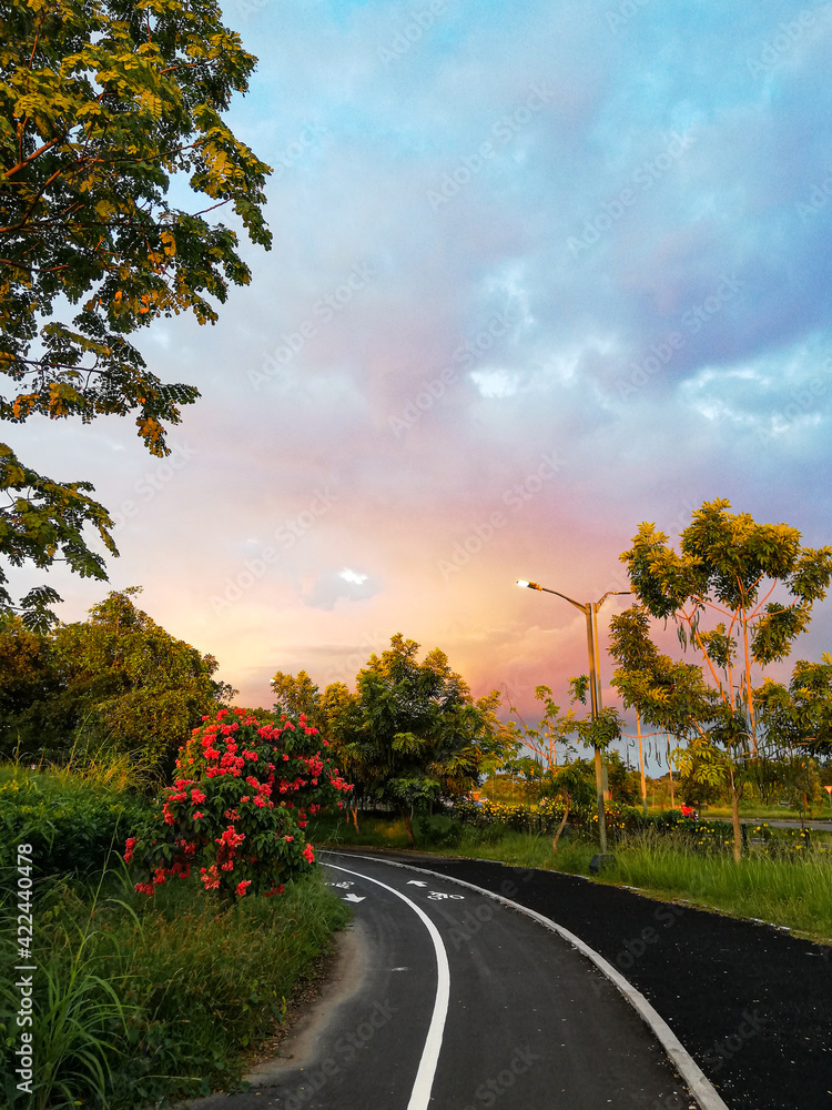 Un atardecer maravilloso en #ecuador parque samanes road in autumn # ...
