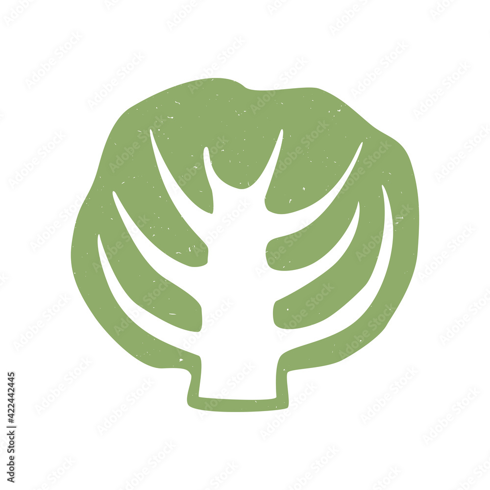 Cute cabbage cut in half icon isolated on white background. Colorful ...