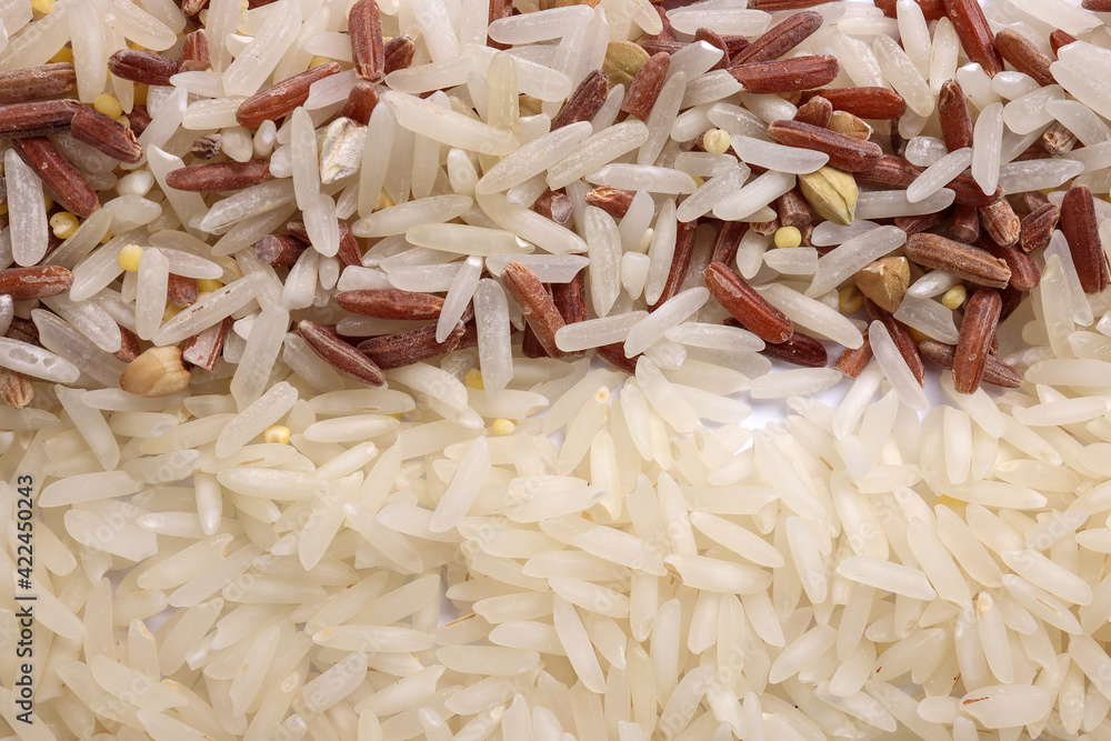 Varity mix long grain basmati medium grain jasmine short grain pilaf ...