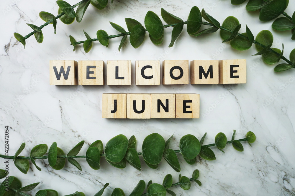 Welcome June alphabet letter with green leave flat lay on marble ...