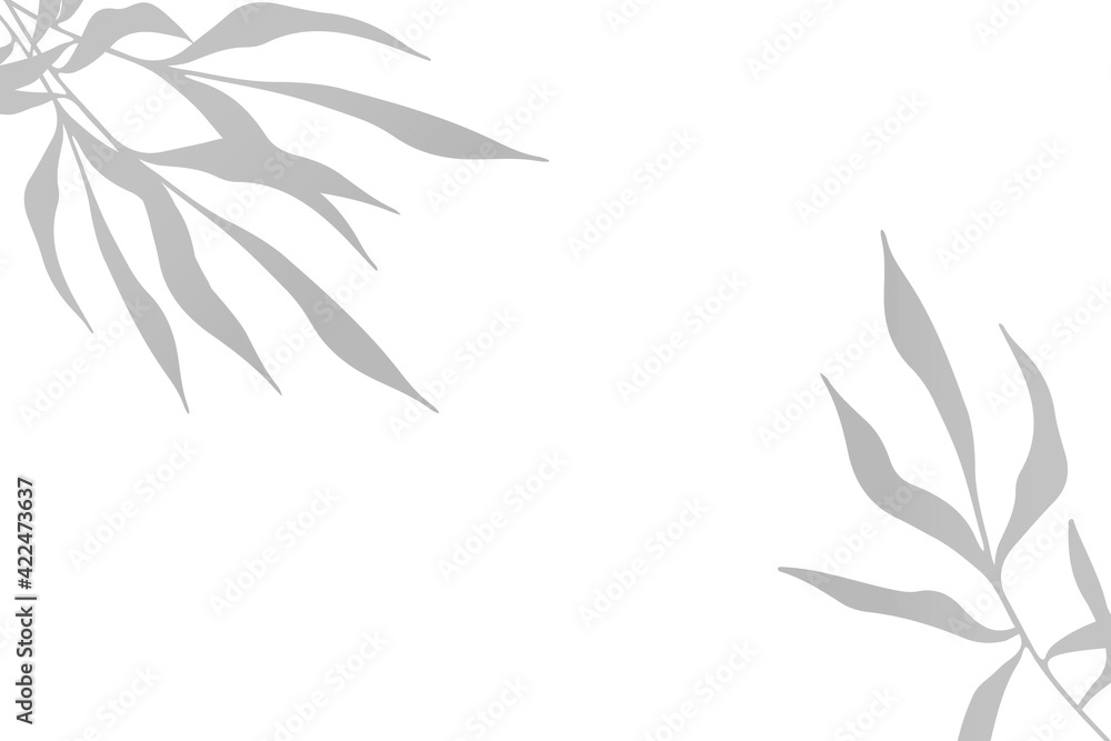 Leaves shadow background. The effect of overlaying shadows. Vector ...