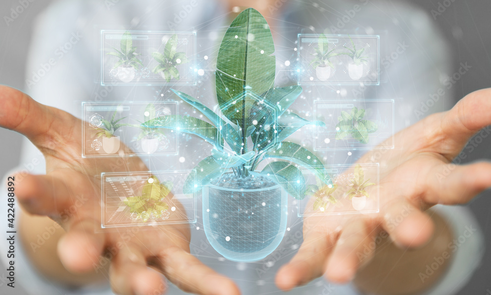 Woman holding and touching holographic projection of a plant with ...