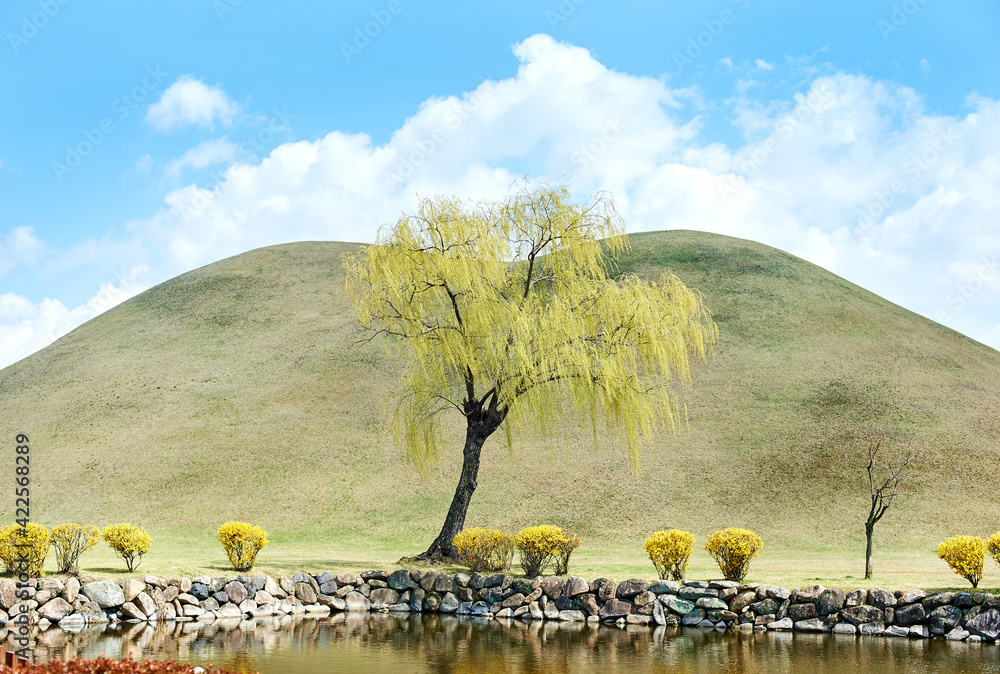Daereungwon Ancient Tombs in Gyeongju-si, South Korea. Daereungwon is ...