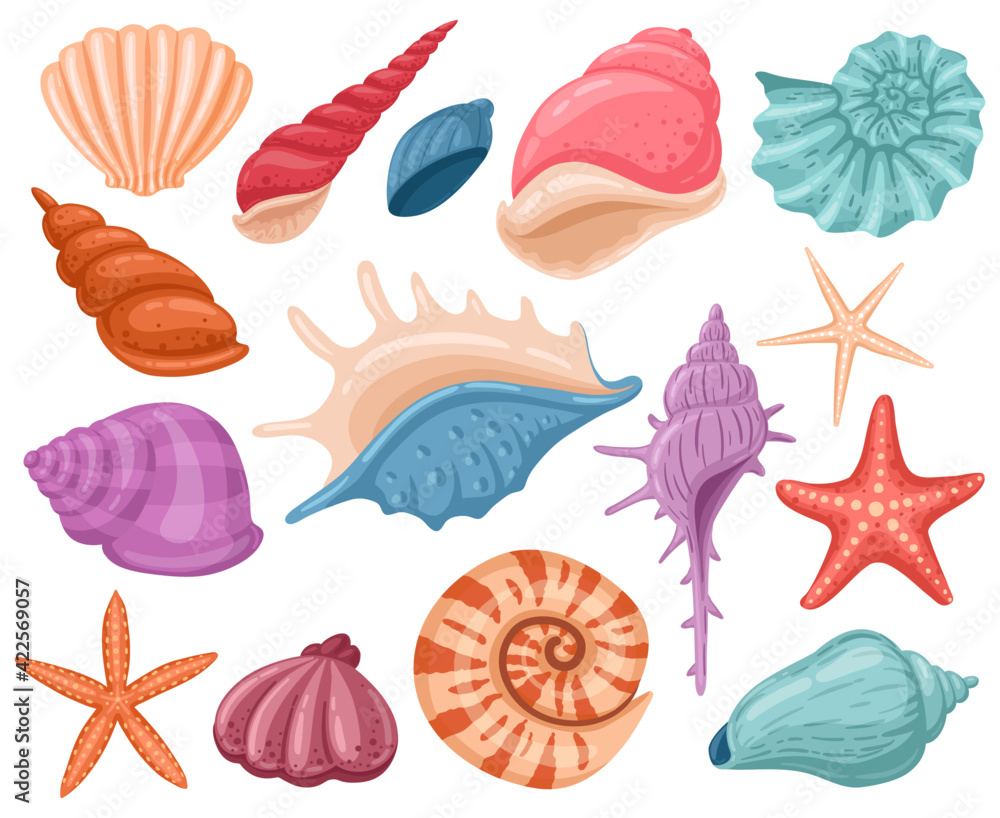 Cartoon seashells. Summer beach sea shells, underwater, ocean reef ...