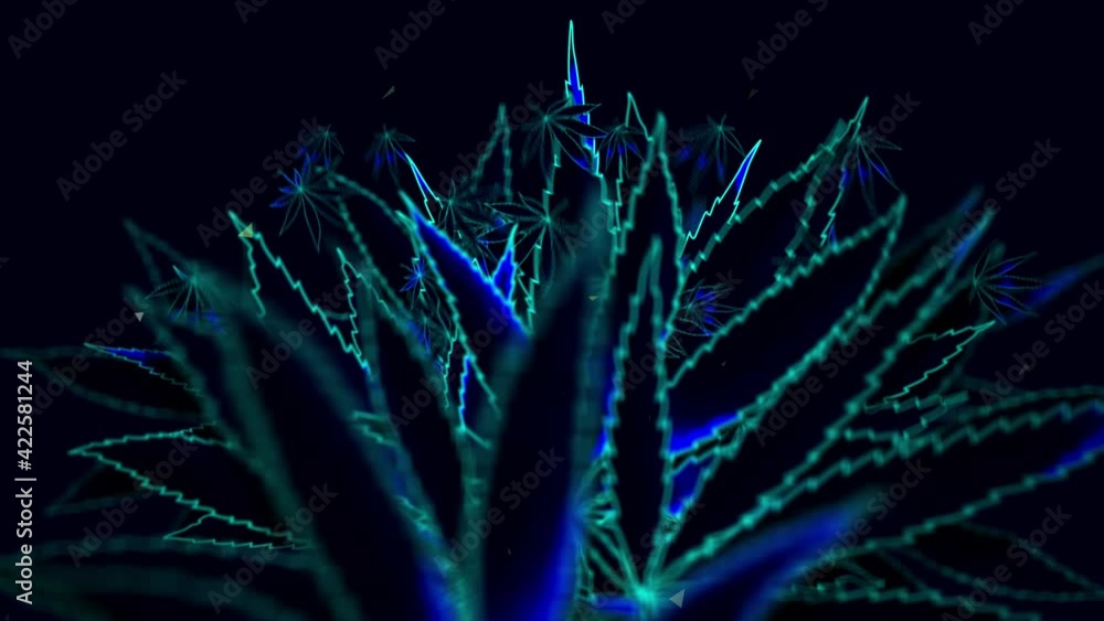 Background Reveals Cannabis Leaf - Night - Cannabis leaves jump out of ...