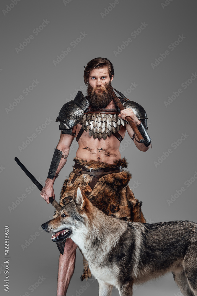 Authentic grimy viking wearing armor and his beautiful wolf Stock Photo ...