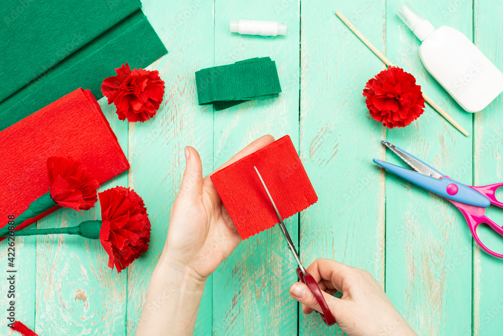 How to make a carnation flower at home. Hands make a red carnation ...