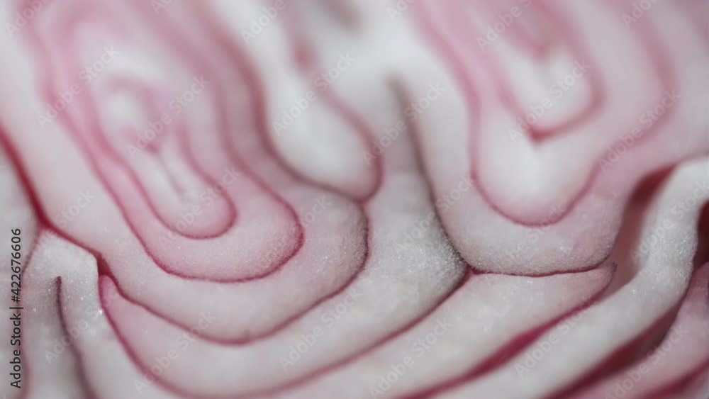 Sliced red onion rings rotating in 4K. Closeup top view of healthy food ...