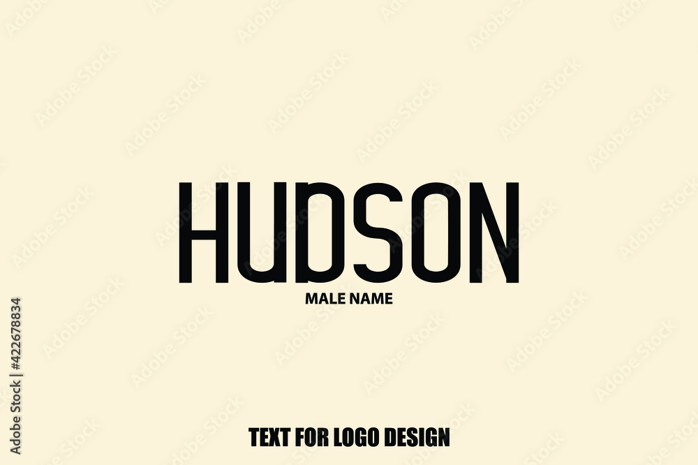 Hudson Male Name Modern Calligraphy Text For Logo Designs and Shop ...