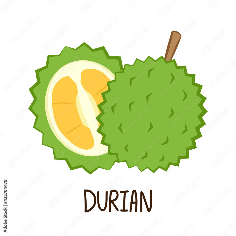 cartoon vector. Durian on white background. Stock Vector | Adobe Stock