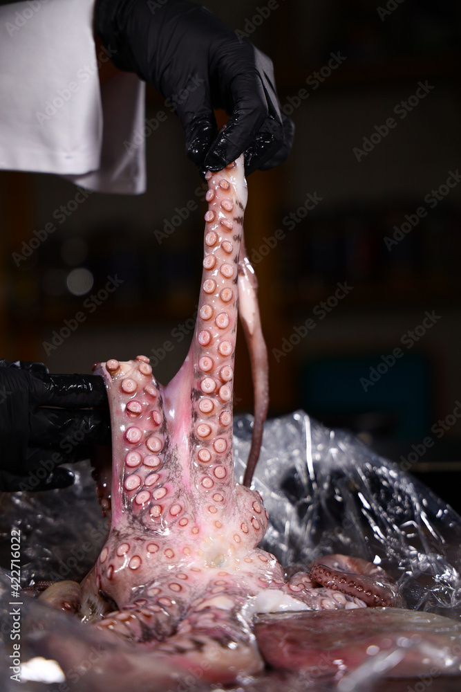 Octopus tentacles. Cook holds a whole octopus in his hands. Seafood ...