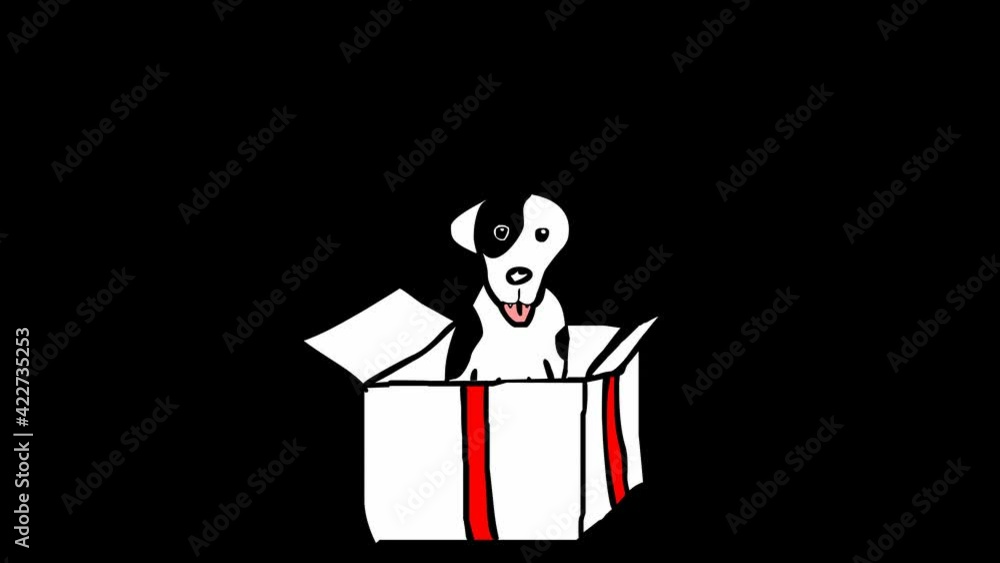 Cute dog in a box. hand drawn cartoon style animation. Alpha channel ...